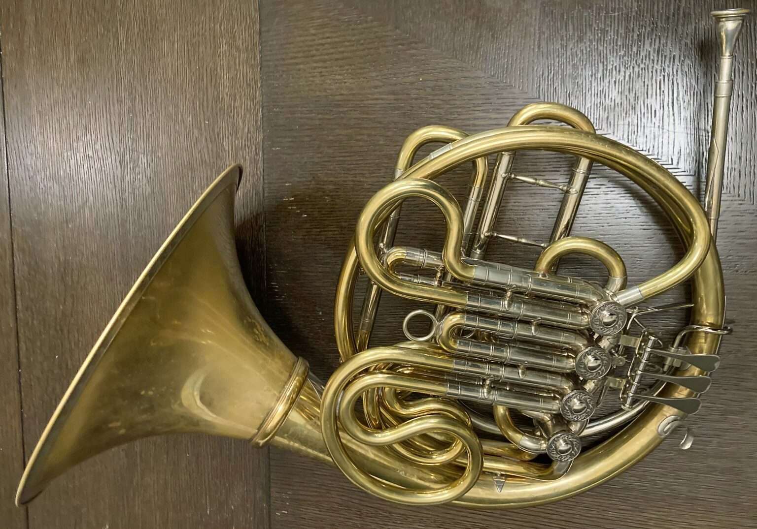 Double Horn - Hampson Horns